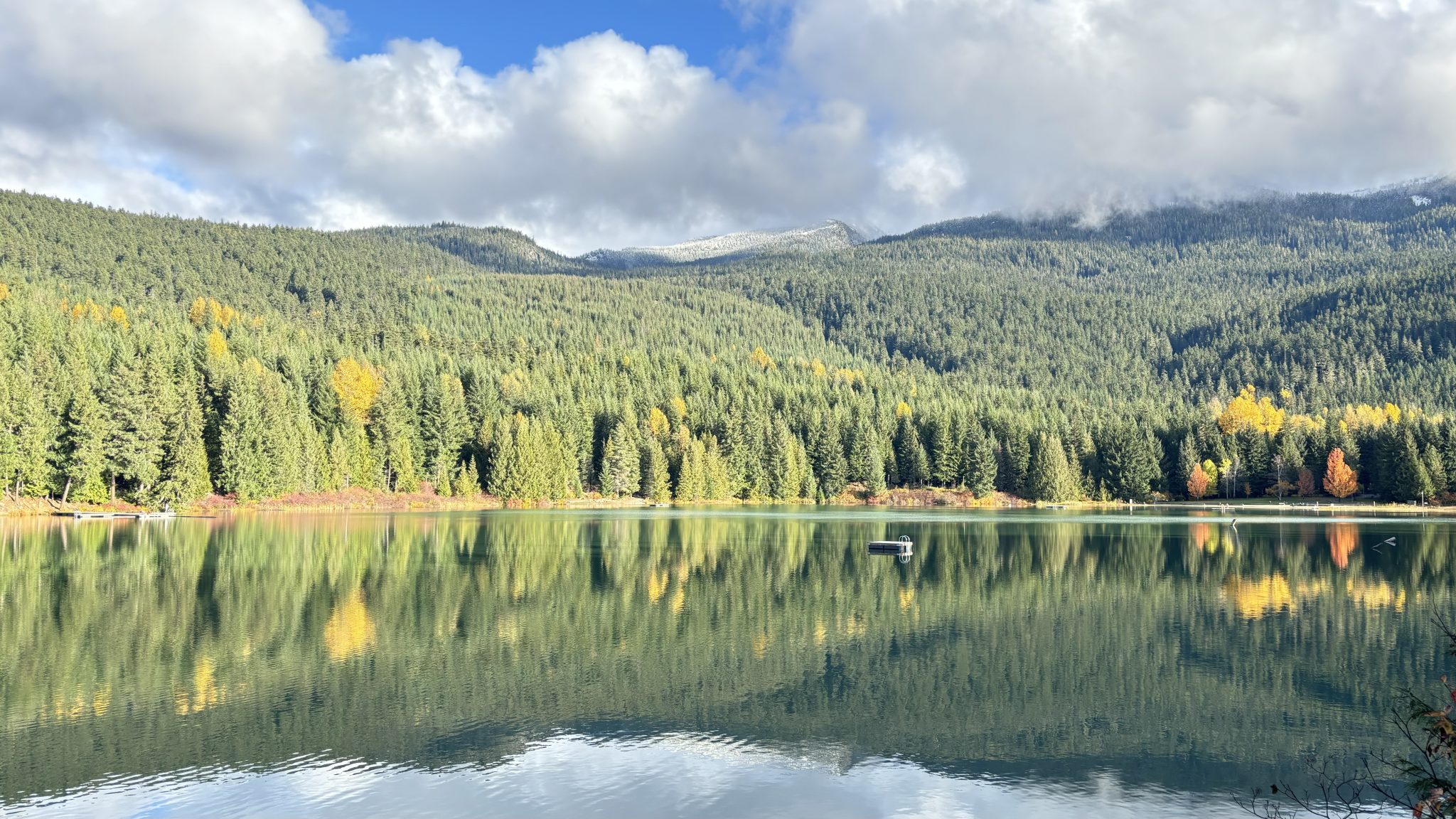 How to join the Lab - Grid Foresight